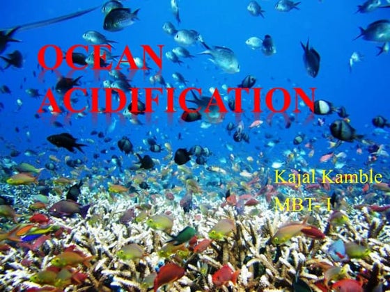 Ocean acidification | PPT