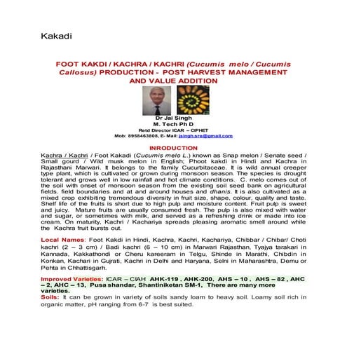 FOOT KAKDI / KACHRA / KACHRI (Cucumis melo / Cucumis Callosus ...
