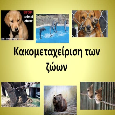 Κακομεταχείριση των ζώων | PPTX