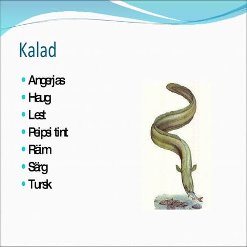 Kalad | PPT