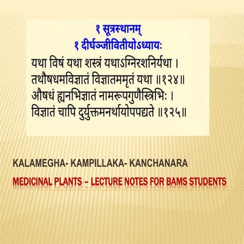 3. kanchnara is a medium sized tree. It has many therapeutic uses | PPTX