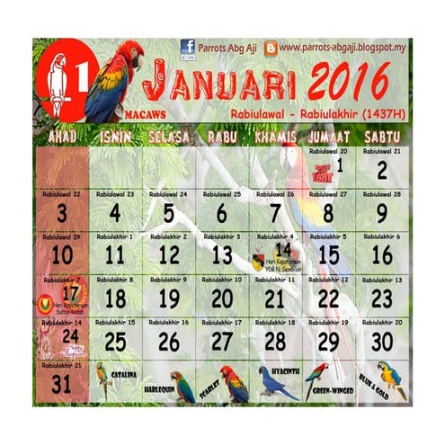 Kalander parrot 2016 [ parrots abg aji ] | PDF