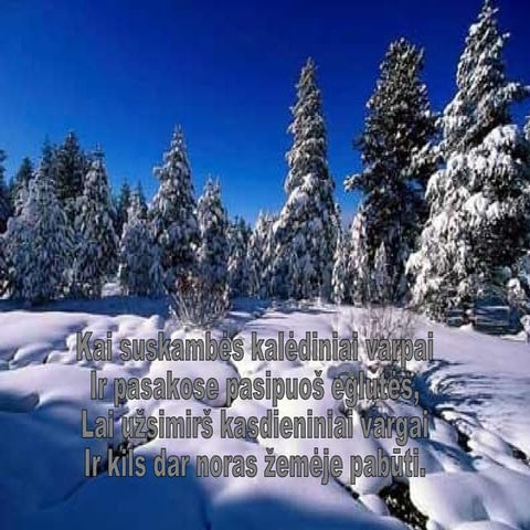 Kaledoms su studija 2006 | PPT