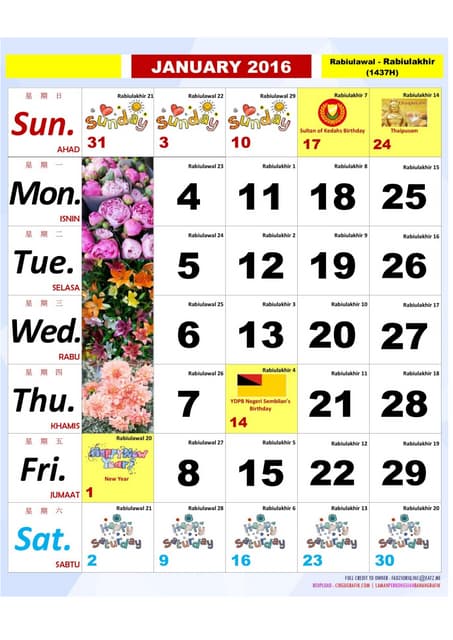 Kalender kuda-2013 | PDF