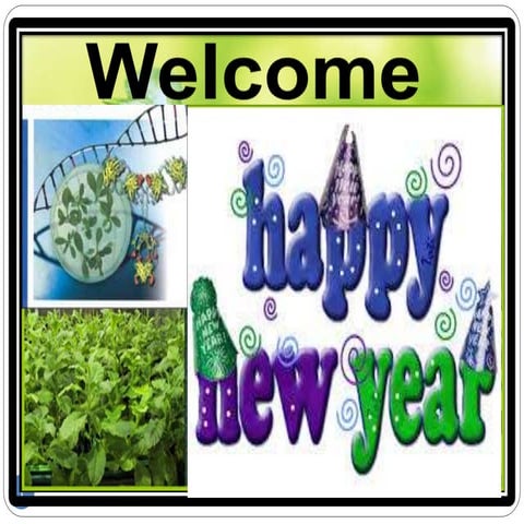 Kalilu seminar | PPT