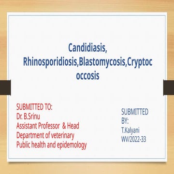 Candidiasis ,Rhinosporidiosis, Blastomycosis | PPTX