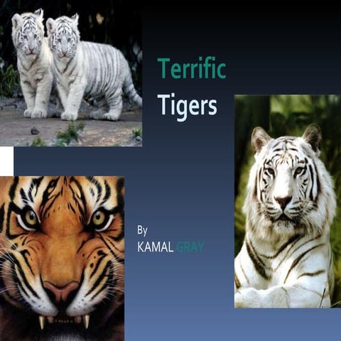Adaptation-of-Tigers-to-Tropical-Environments-The-Malayan-Tiger.pptx