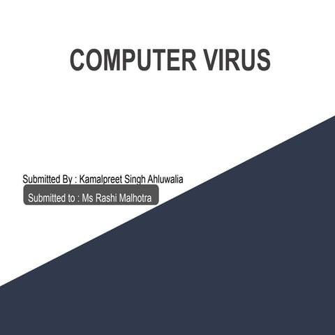 The Presentation Is On Topic Computer Virus Pptx