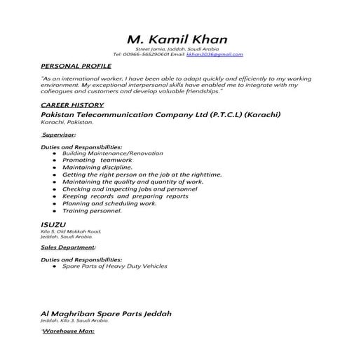 Kamil cv | PDF