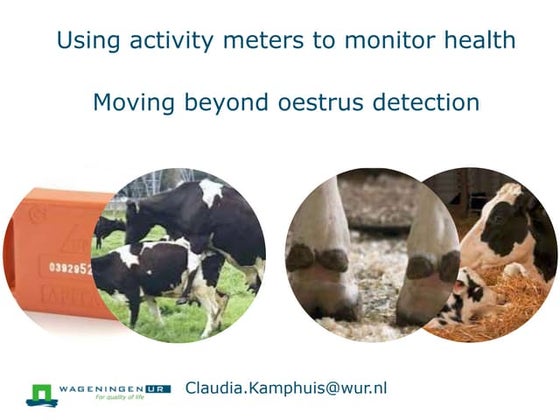 Lameness detection in sheep through behavioural sensor data analysis | PPT