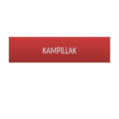 KAMPILLAK020203838338383838338383832.pptx