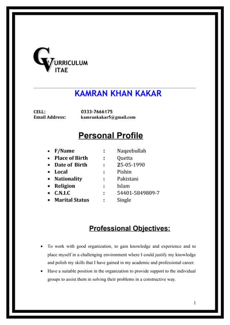 M Kamran CV | PDF