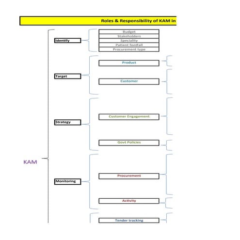 Kam roles & responsibilities pharma sector | PDF