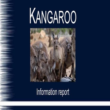Kangaroo Research Information.pptx