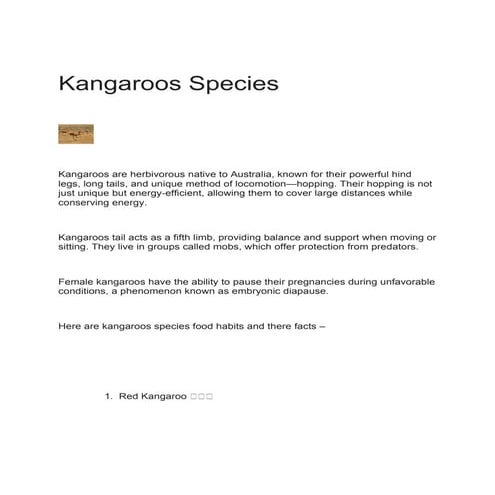 REPORT TEXT EXAMPLE: Kangaroo | DOCX