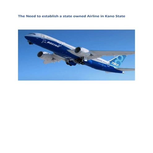 The Need to Establish a State Owned Airline | PDF