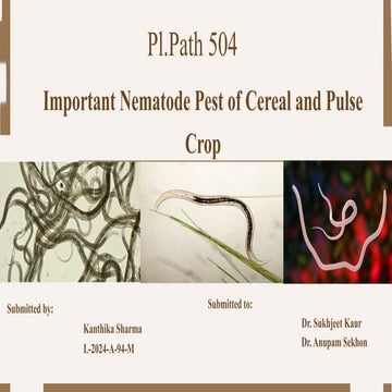Important nematode pest of cereals and pulses.pptx
