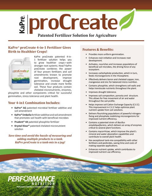 Poly feed presentation | DOCX