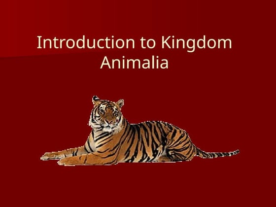 Classification of animals | PPT | Reptiles | Pets