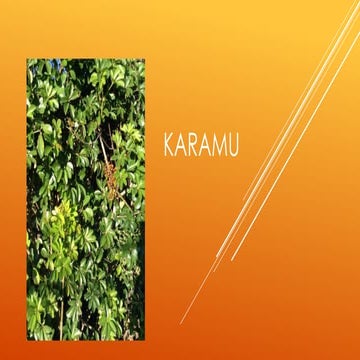 Karamu | PPTX