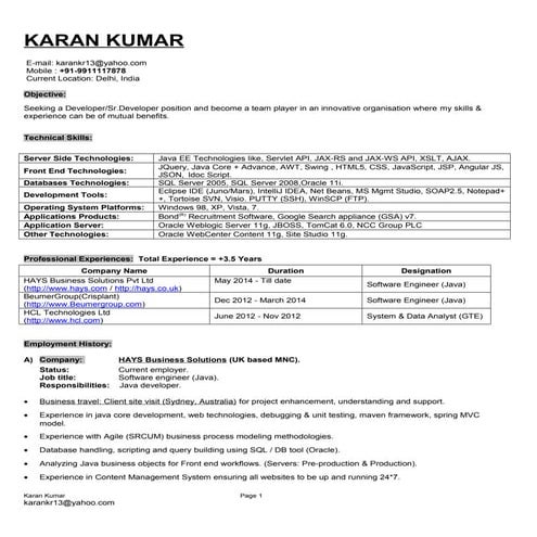 Karan CV 2016 | PDF