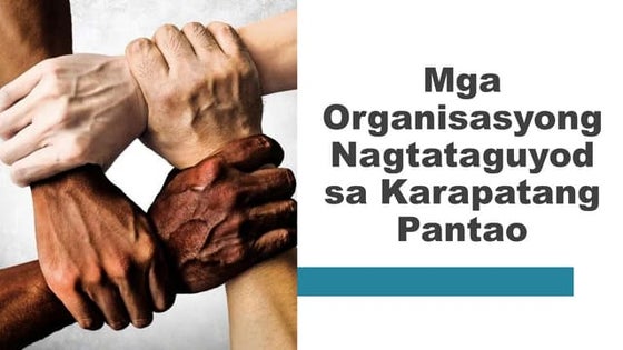 Mga Isyu sa Karapatang Pantao (Organisasyon) | PPT