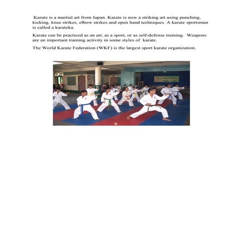 Karate | PDF