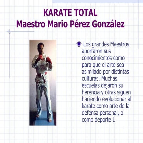 Guia basica de karate do pdf | PDF