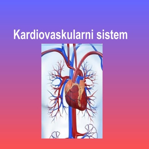 ANATOMIJA Kardiovaskularni sistem | PPT
