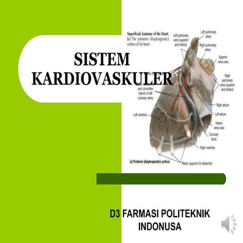 KARDIOVASKULER 2020 (3) (1).pptaaaaaaaaaaaa | PPT