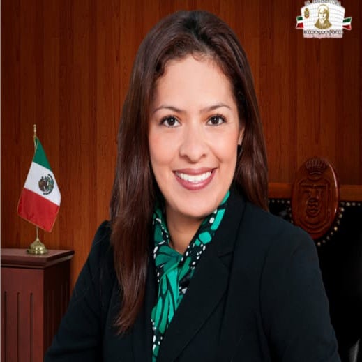 Karen Castrejon Trujillo-diputada2 | PDF