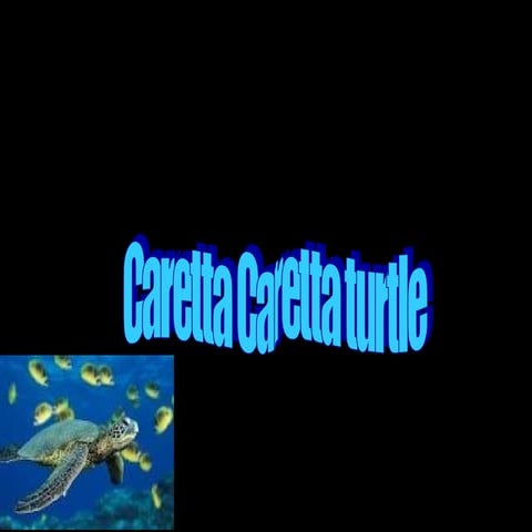 Kareta kareta Δ2 | PPT