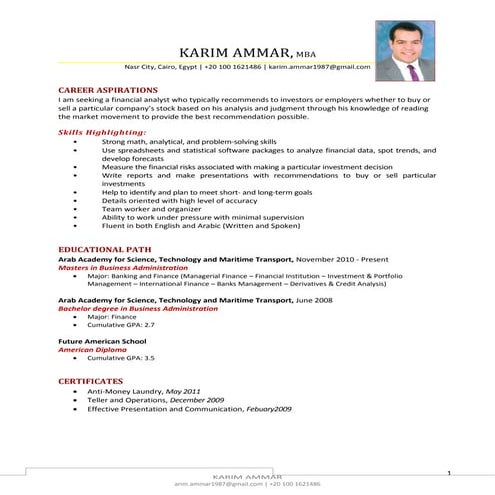 Karim Ammar CV | PDF