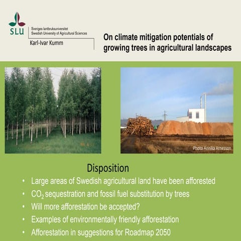 On climate mitigation potentials of growing trees in agricultural ...