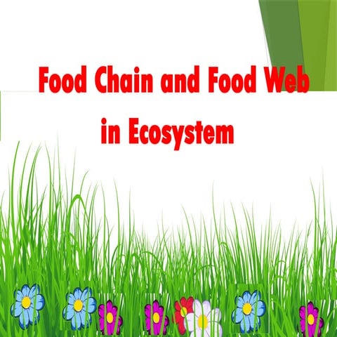 food chan and food web in ecosystem.pptx