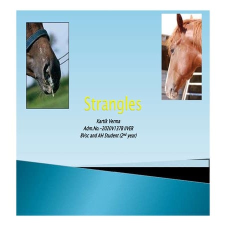 Kartik Verma (Strangles).pptx