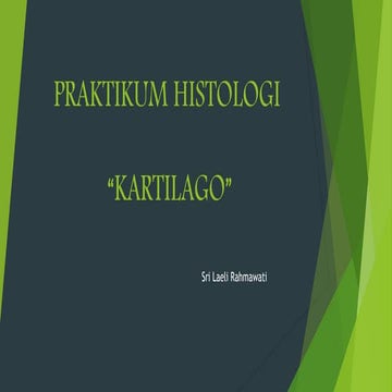 Kartilago | PPTX