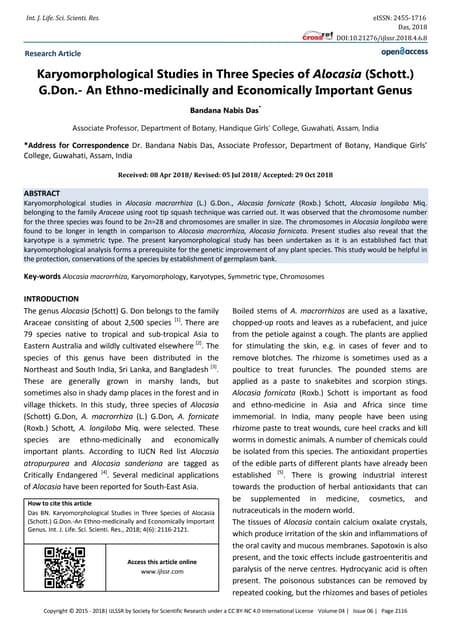 Karyomorphological studies in two species of Allium L. | PDF