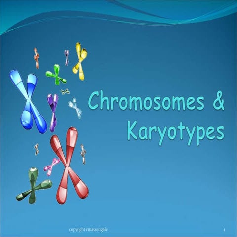 Karyotype lab ppt.ppt