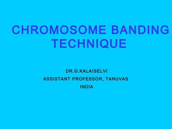 Chromosomal banding technique | PPT