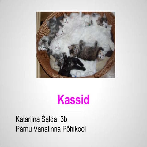 Kassid | PPTX
