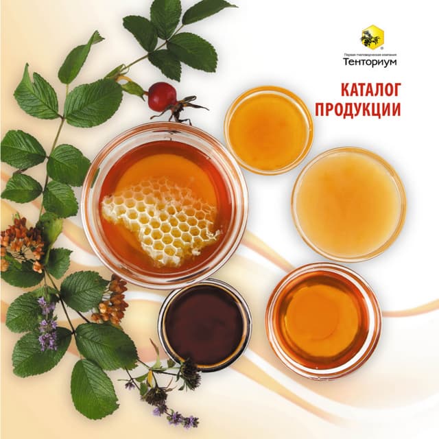 Katalog | PDF