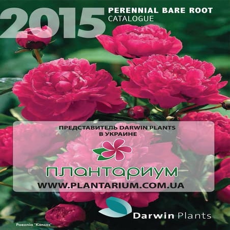 Каталог Darwin Plants 2015 | PDF | Gardening | Home & Garden