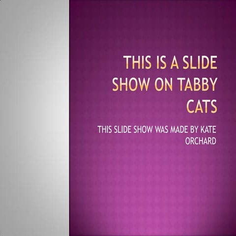 Kate ... tabby cats | PPT