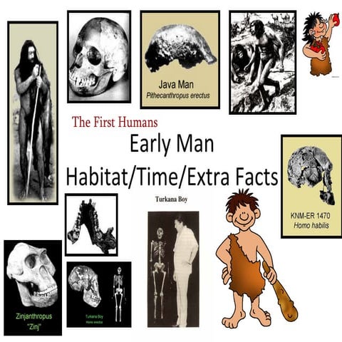 Early humans ppt | PPT