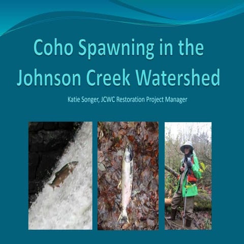 Johnson Creek Coho Spawning PowerPoint | PPTX
