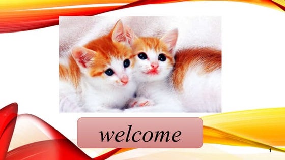 ipd case sheet 1.pdf