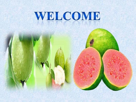 Guava value addition and post harvest technology by | PPT