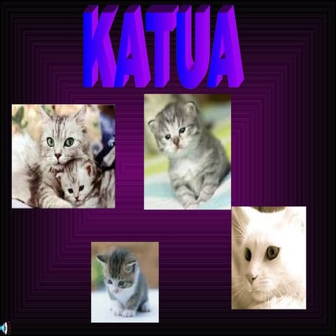 Katua | PPS