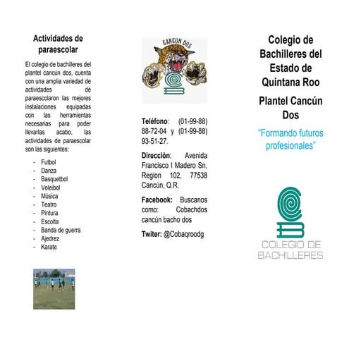 Weekly practice sheet | DOCX